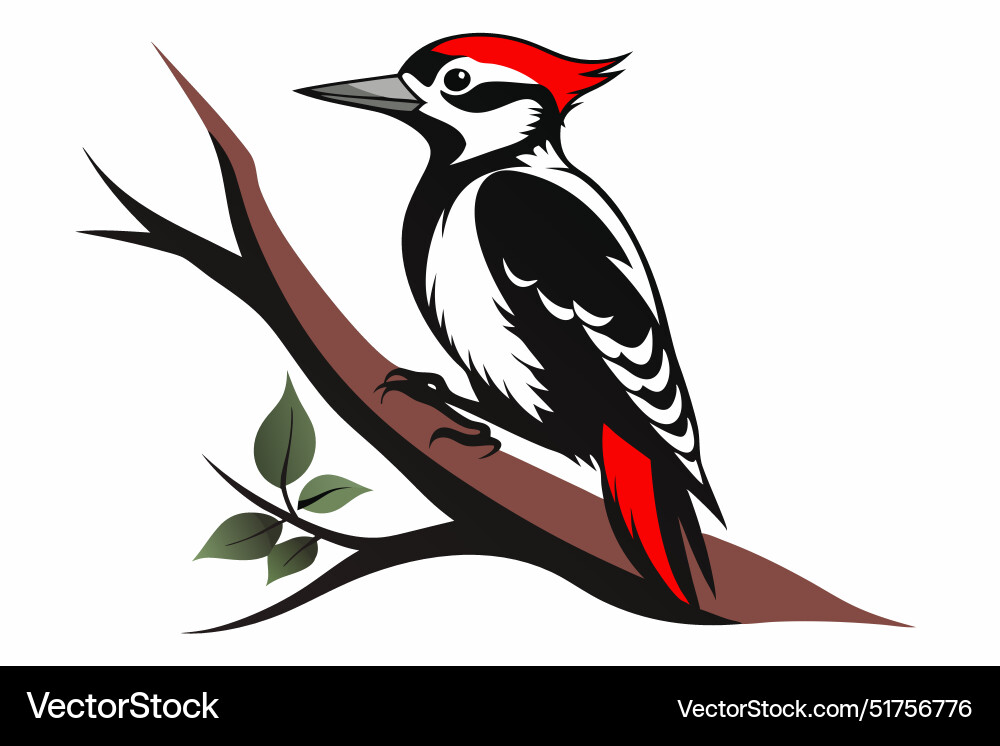 Woodpecker bird on the tree logo i Royalty Free Vector Image