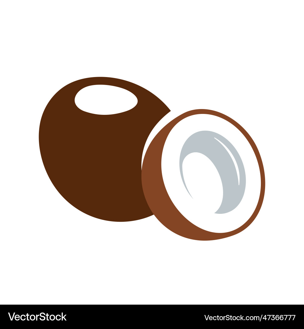 Coconut icon isolated on white background Vector Image