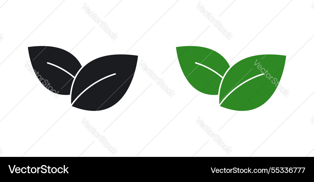 Leaf icons set black and colored style Royalty Free Vector