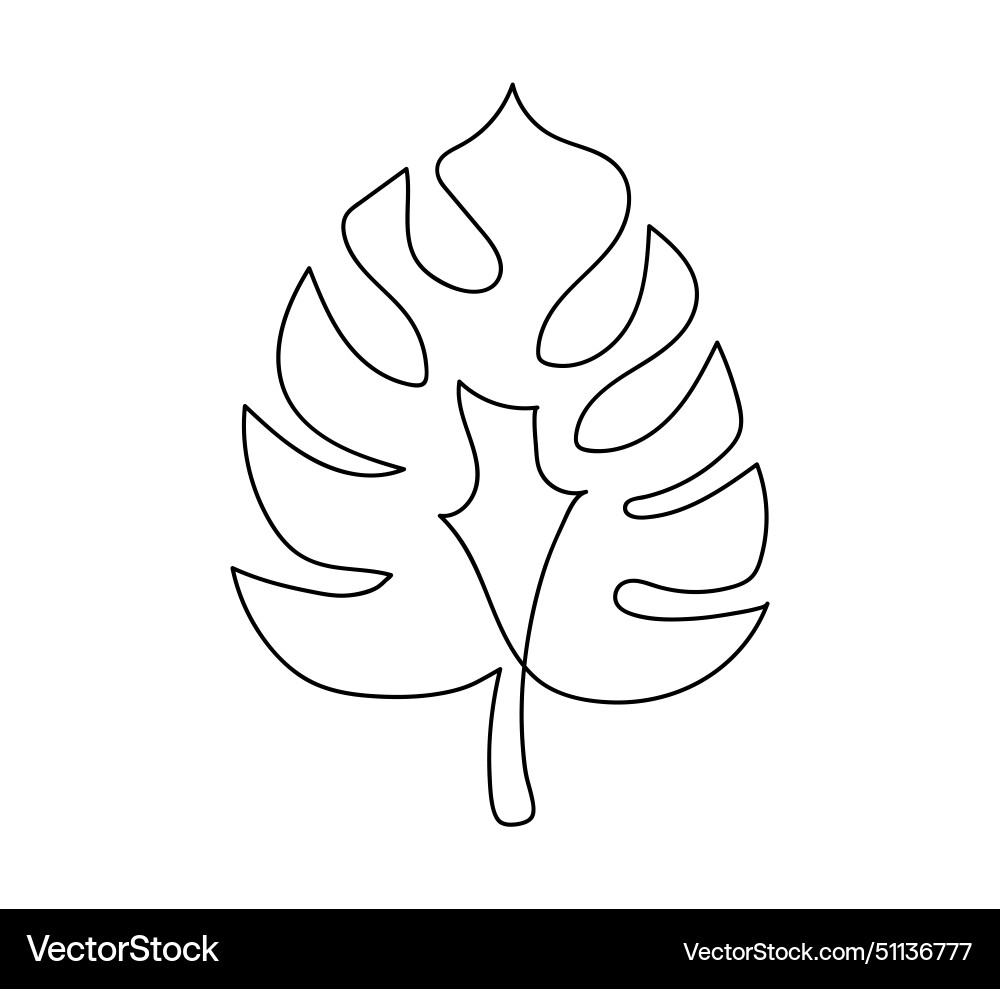Monstera leaf line art contour drawing Royalty Free Vector