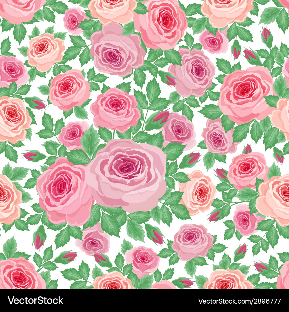 Pattern of roses Royalty Free Vector Image - VectorStock