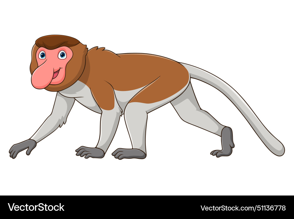Cartoon proboscis monkey on white background Vector Image
