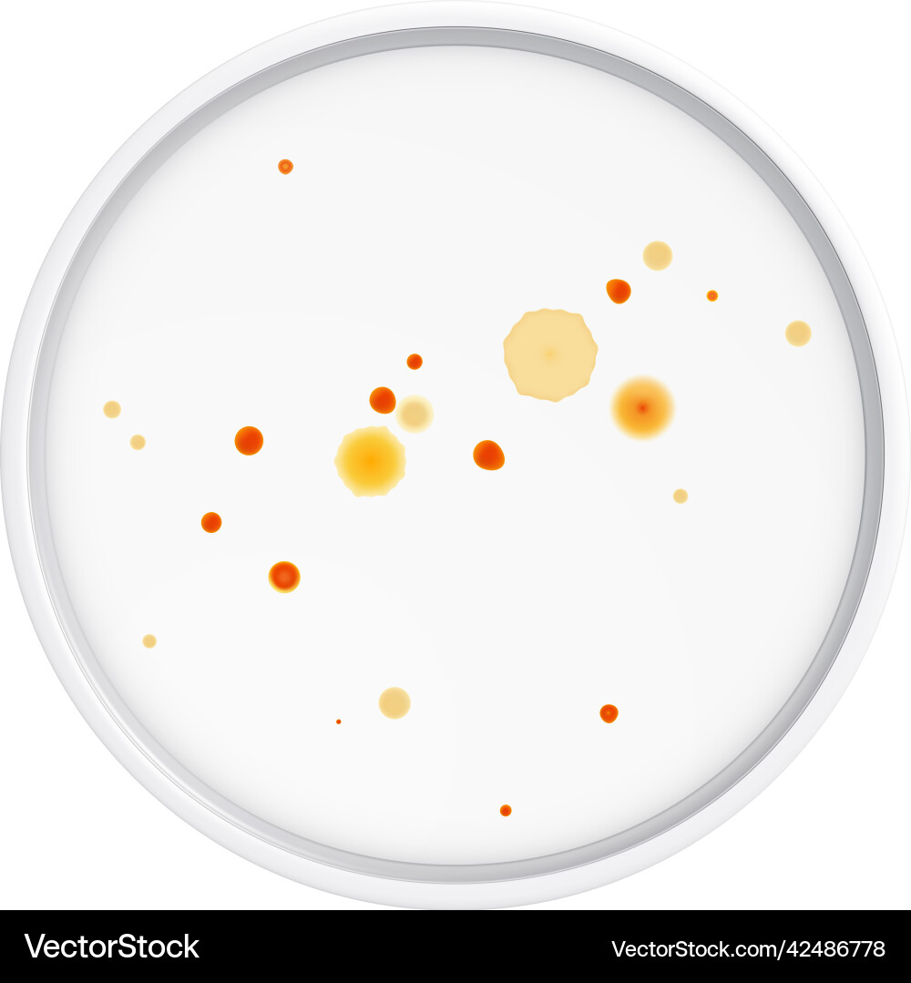 Colony mold fungus composition Royalty Free Vector Image