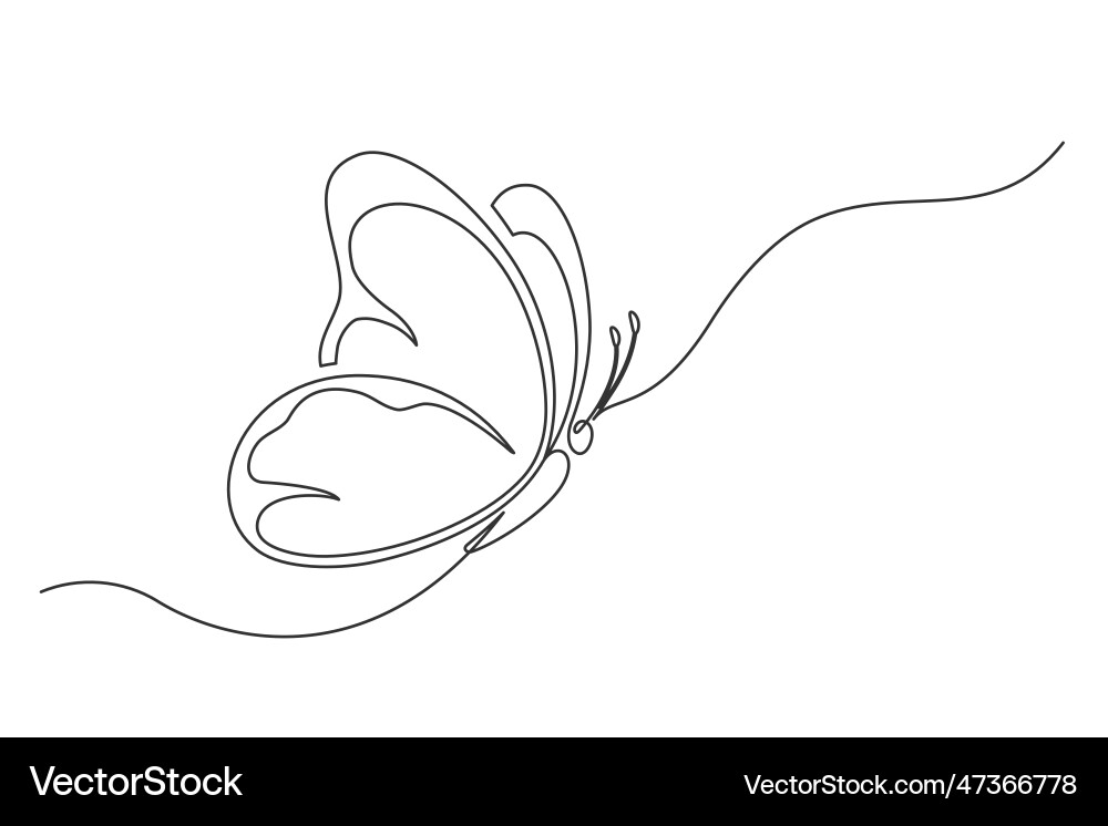 Continuous one line butterfly Royalty Free Vector Image