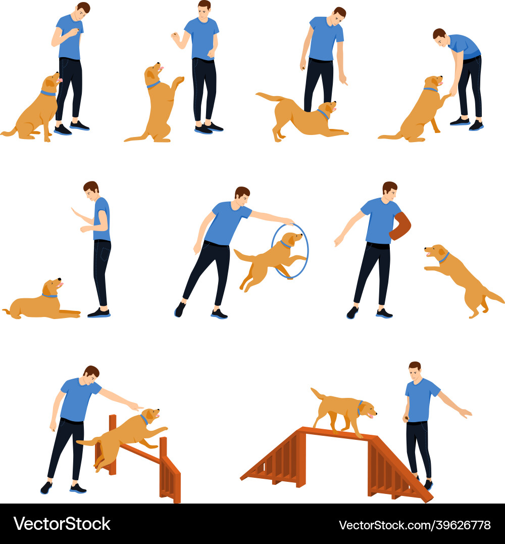 Dog training icon set Royalty Free Vector Image