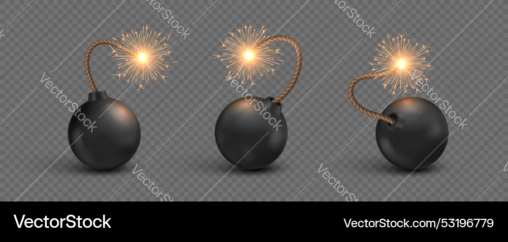 Realistic bomb with burning wick fuse tnt weapon Vector Image