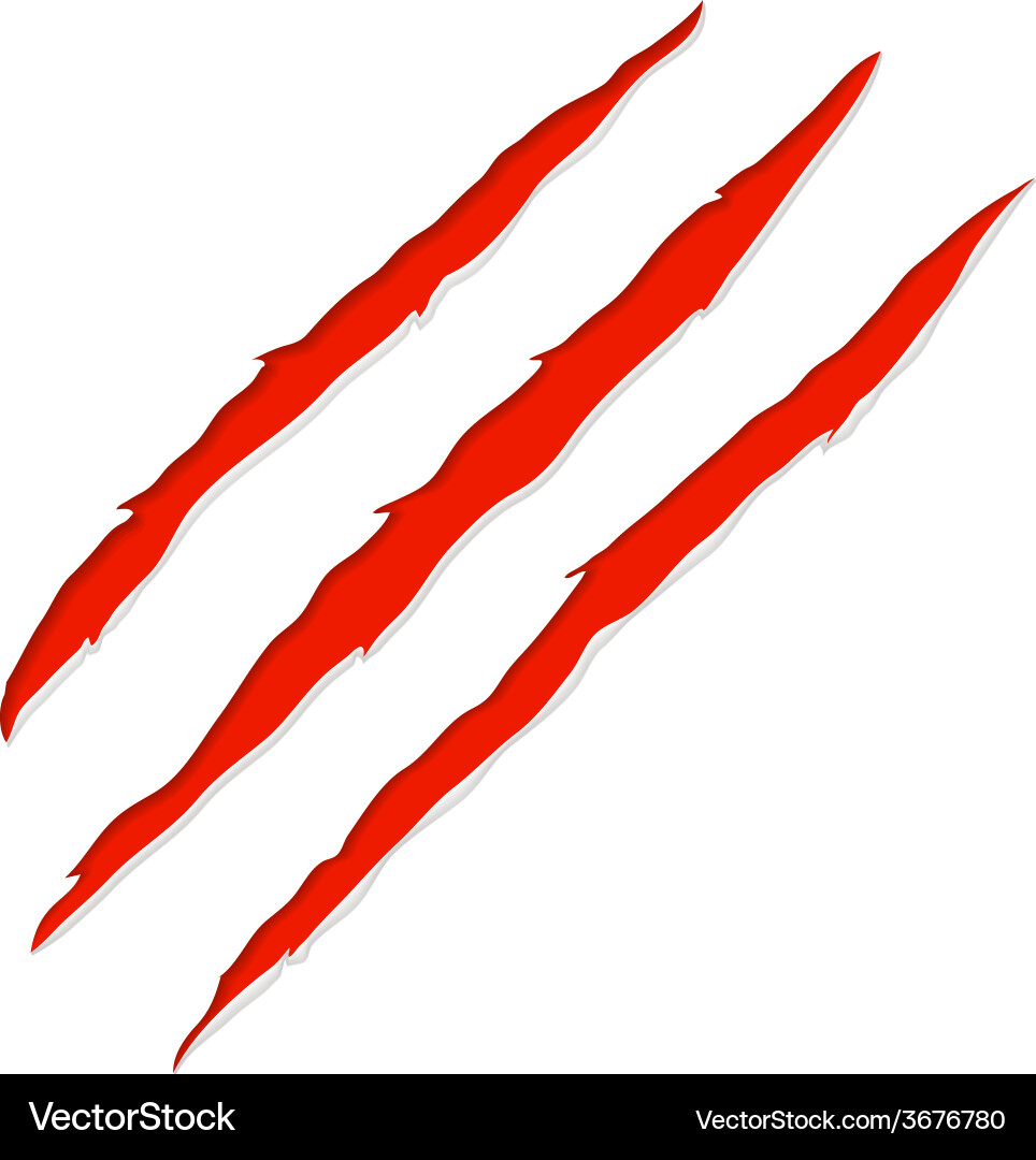 Claw scratches Royalty Free Vector Image - VectorStock