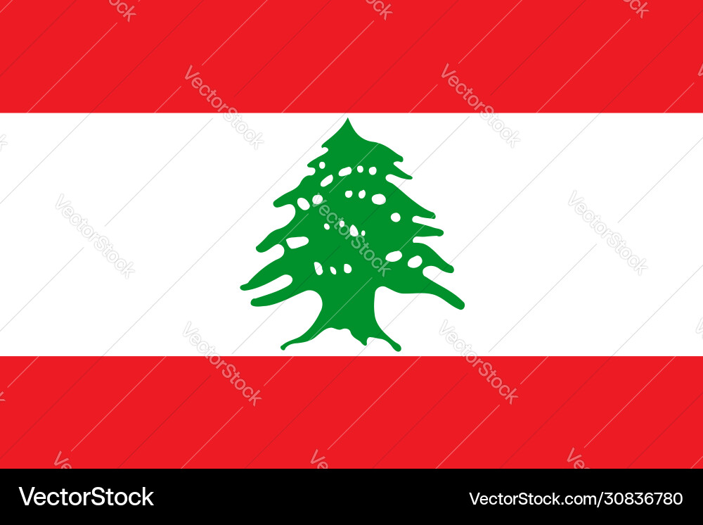 Lebanon Flag Tree BOLISI Wholesale Lebanon Polymer Flag Double Side