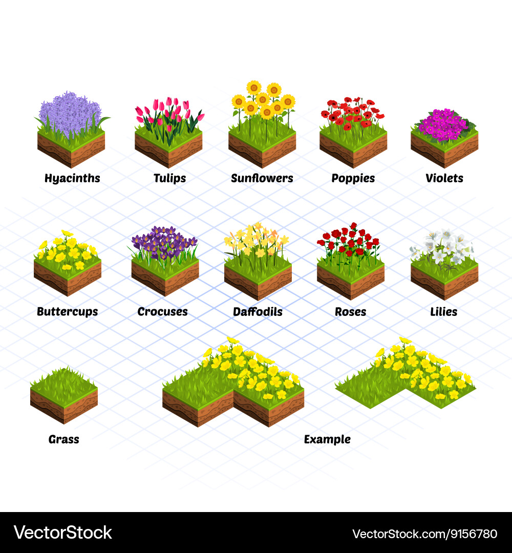 Set of isometric flowers Royalty Free Vector Image