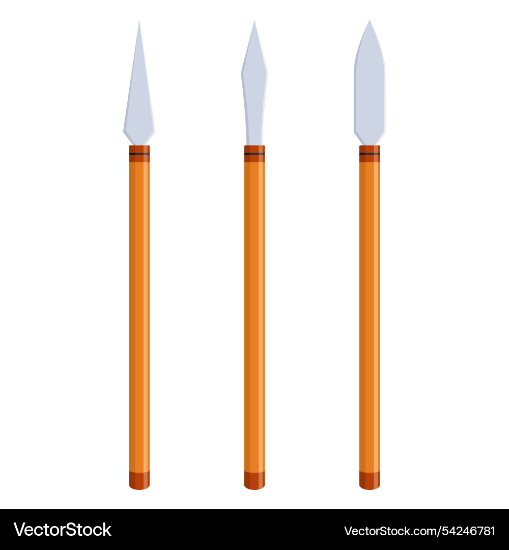 Three spears with differently shaped tips Vector Image