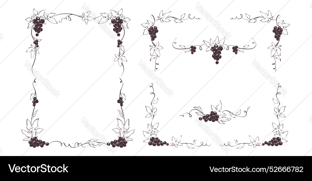 Set of design elements with vine Royalty Free Vector Image