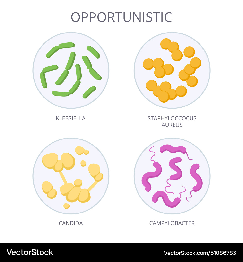 Cartoon opportunistic bacteria biological Vector Image