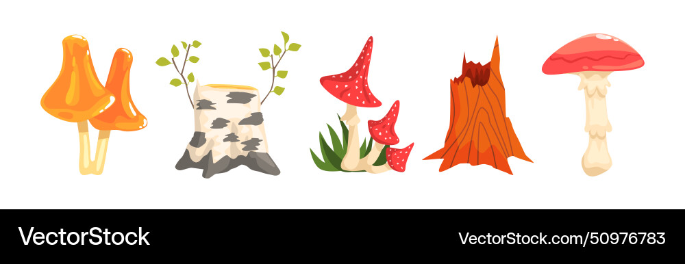 Forest element and outdoor environment object Vector Image