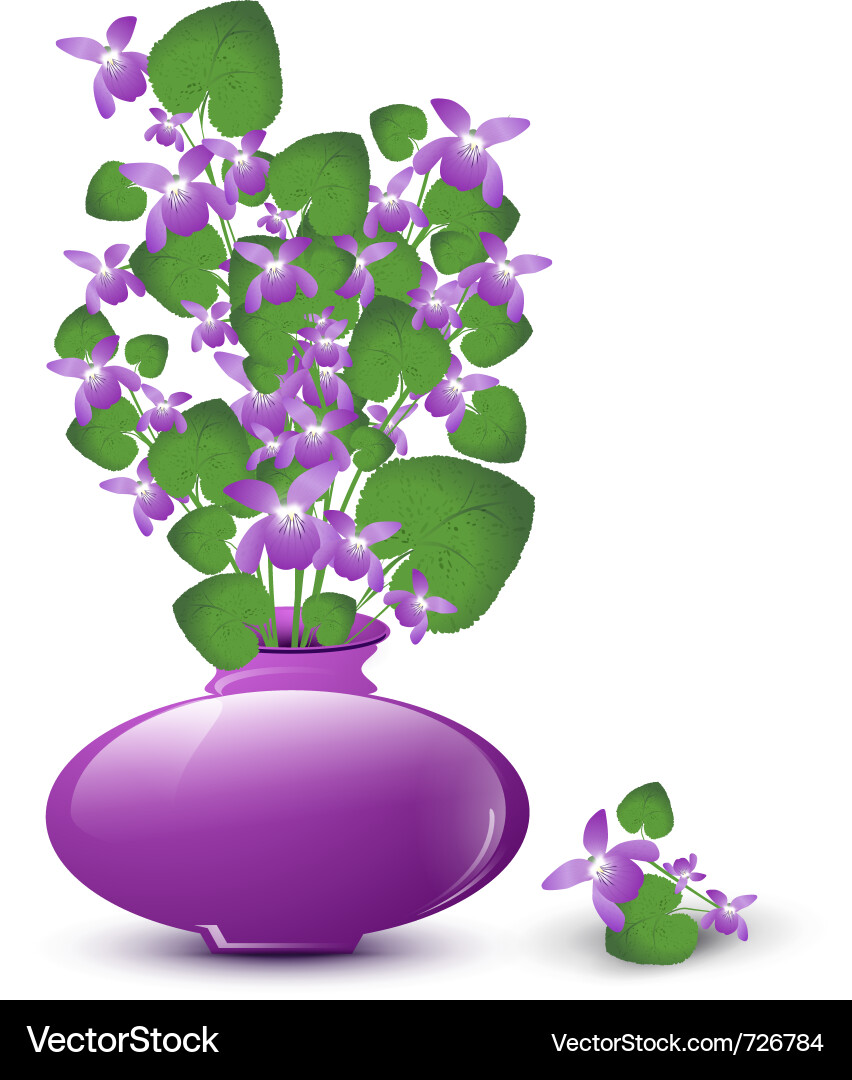 Bunch of wild violet Royalty Free Vector Image