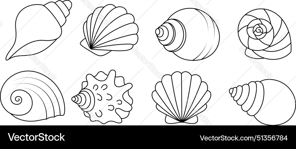 Set of seashell coloring page for kids summer Vector Image