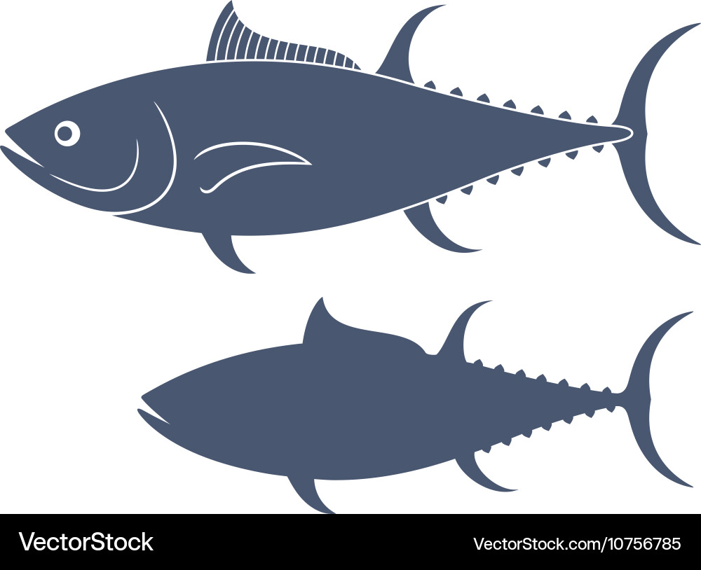 Tuna Royalty Free Vector Image - VectorStock