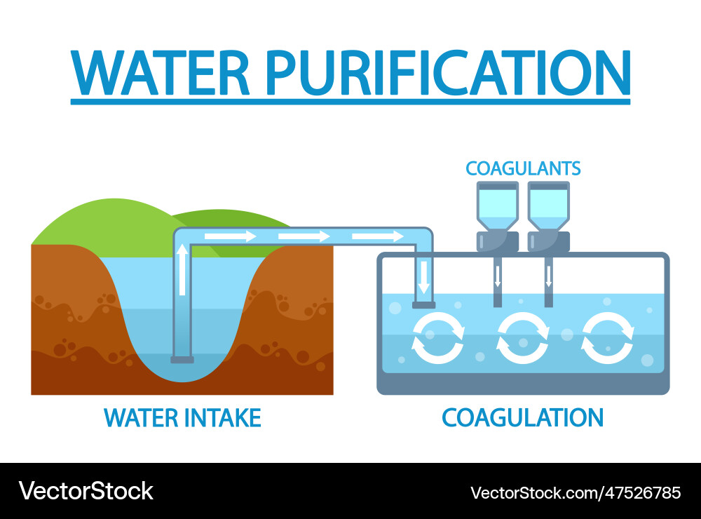 Water purification stages involve intake of raw Vector Image