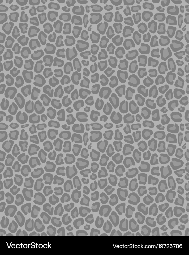 Skin of leopard Royalty Free Vector Image - VectorStock