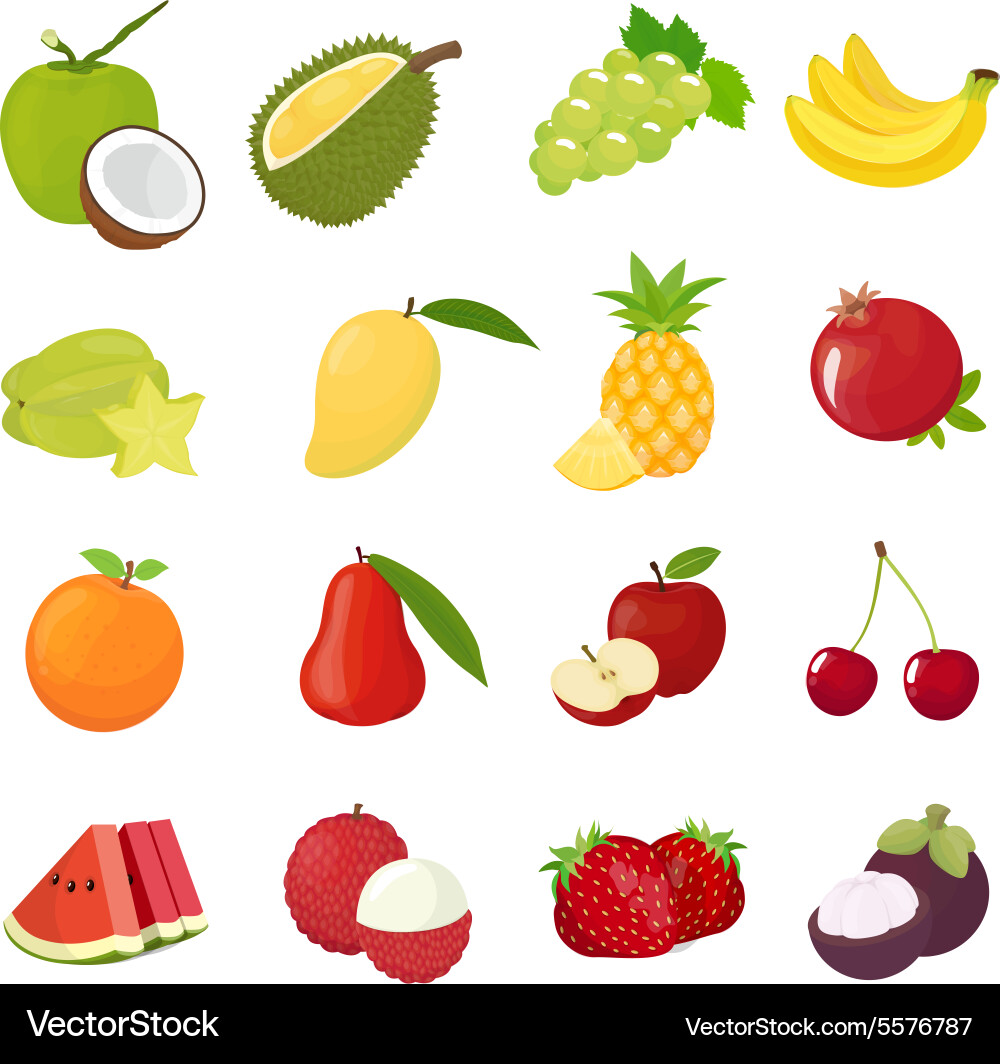 Tropical Fruit Collection Royalty Free Vector Image