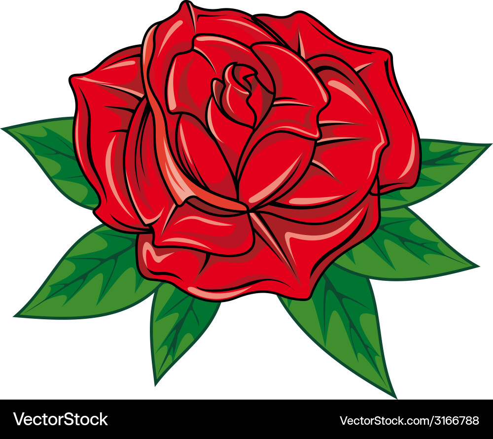 Cartoon Red Rose Royalty Free Vector Image - VectorStock
