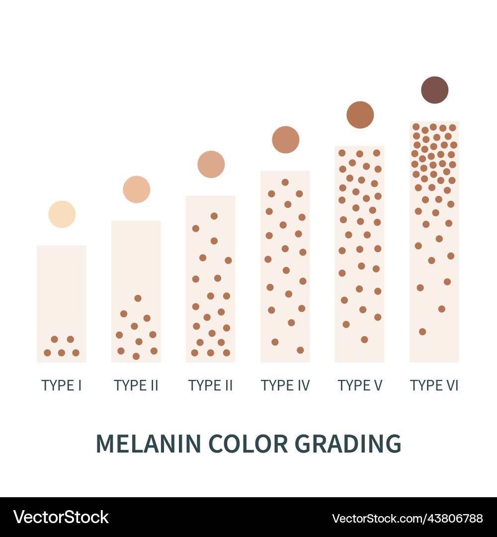 Melanin Skin Ton Diagramm Lizenzfreies Vektorbild