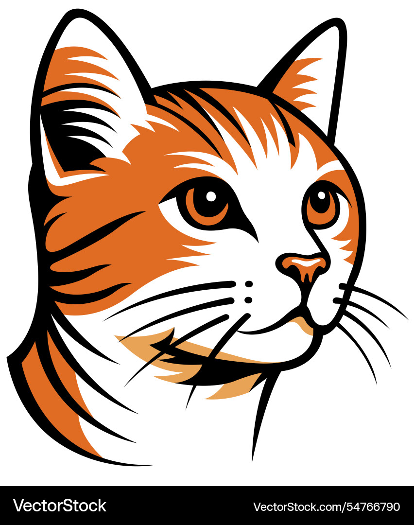 Colored drawing of cats head Royalty Free Vector Image