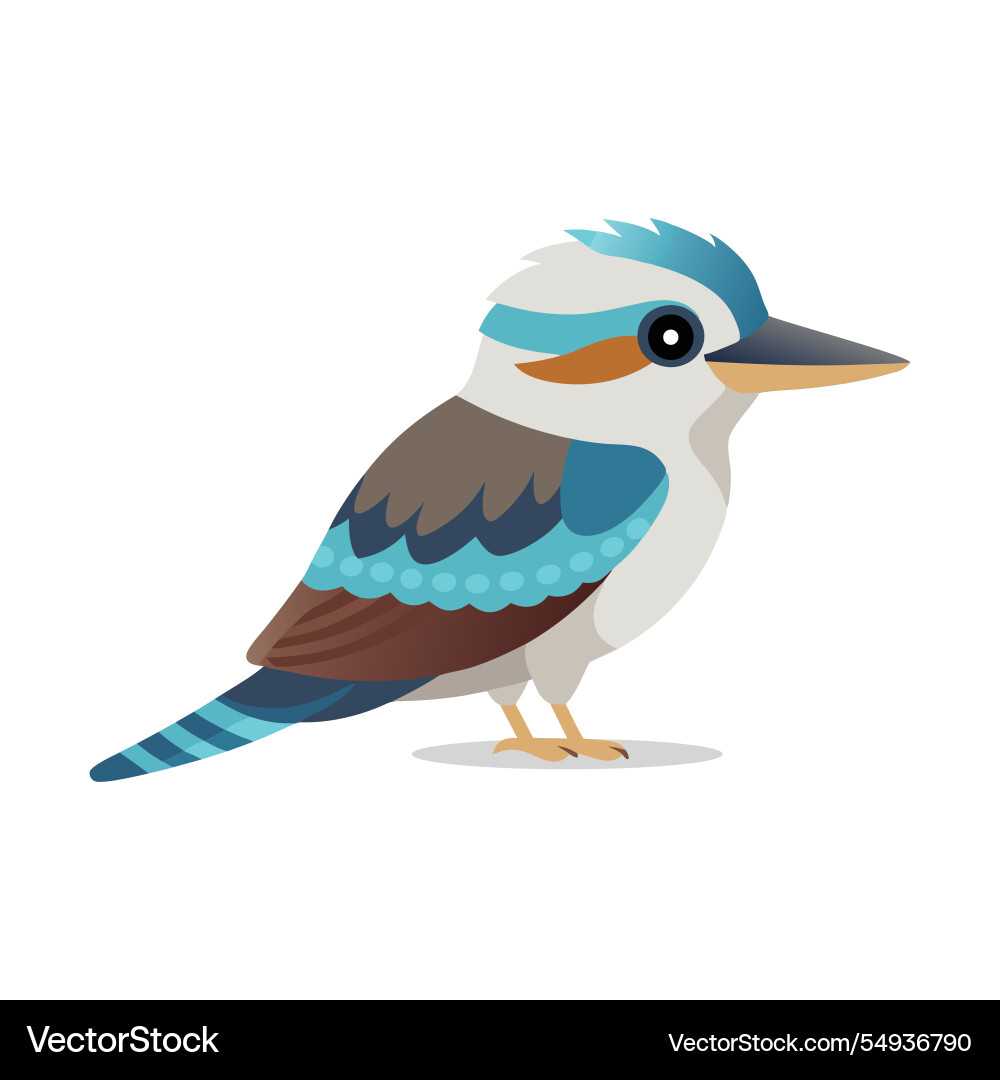 Flying Kangaroo Vector Images (over 570)