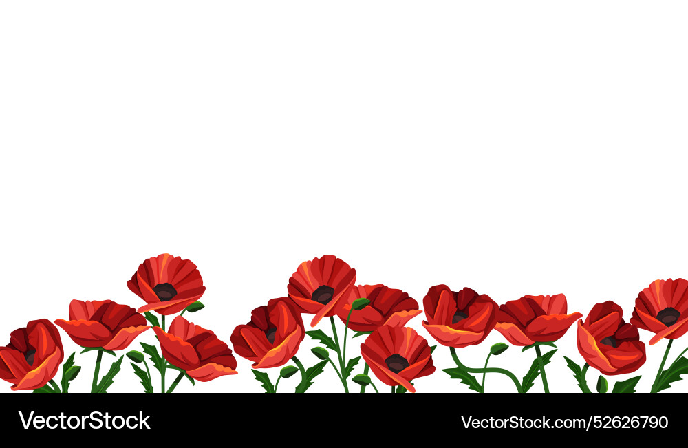 Red Poppy Border Royalty Free Vector Image - VectorStock