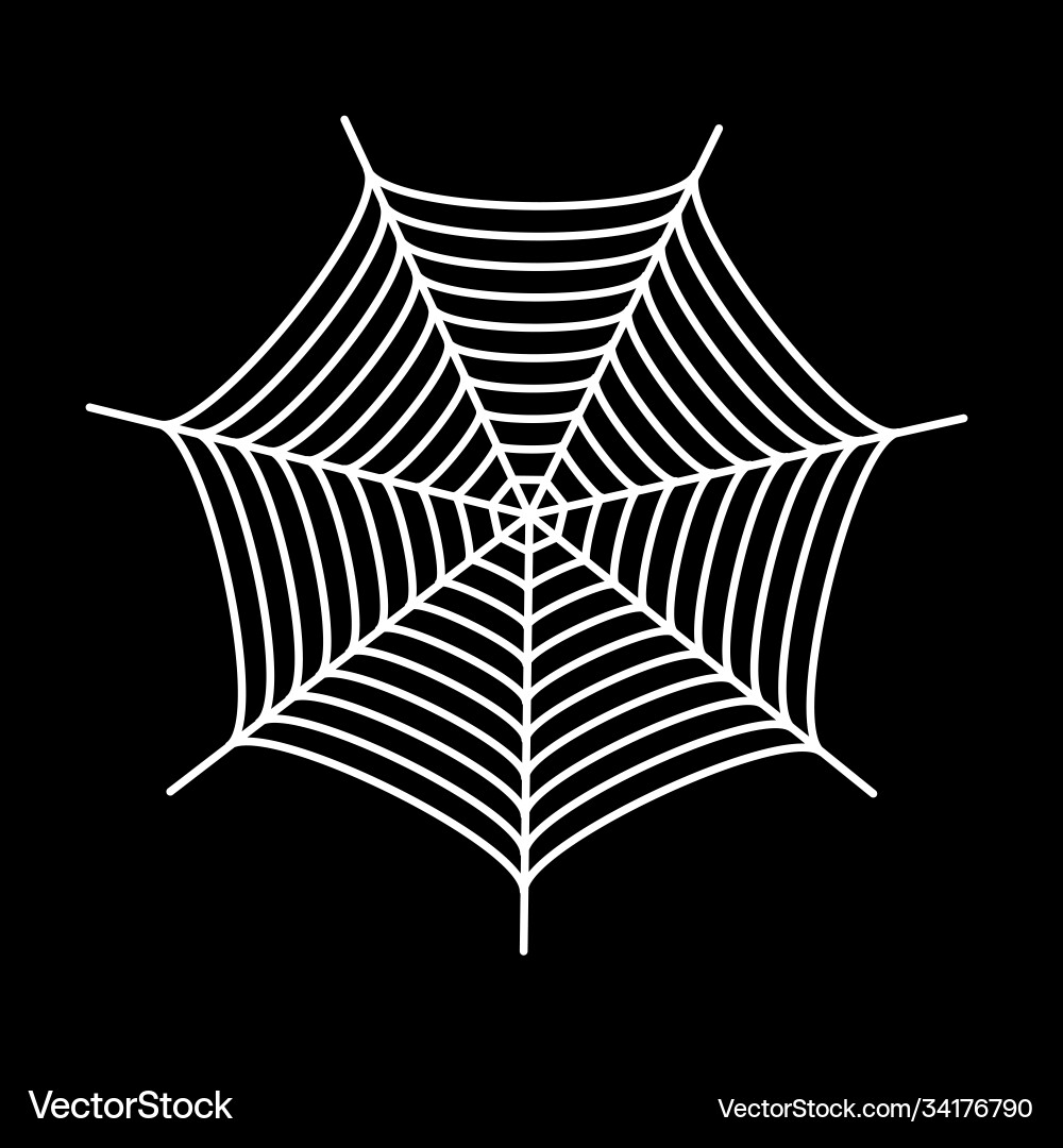 Spider web concept Royalty Free Vector Image - VectorStock