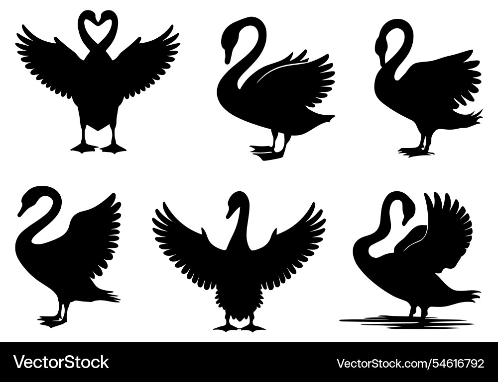 Swan silhouettes in various poses Royalty Free Vector Image