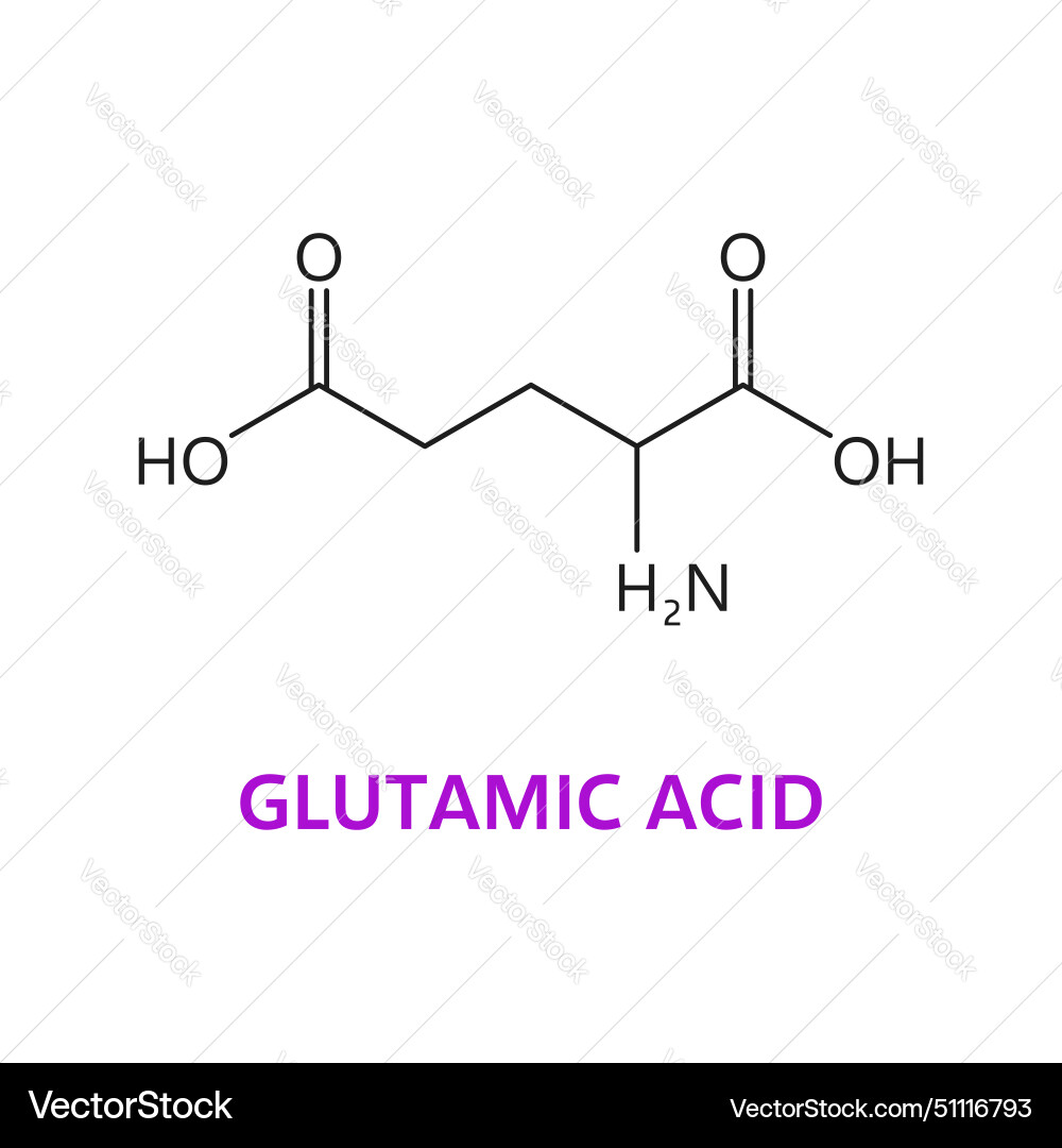 Glutamic amino acid chemical molecule structure Vector Image