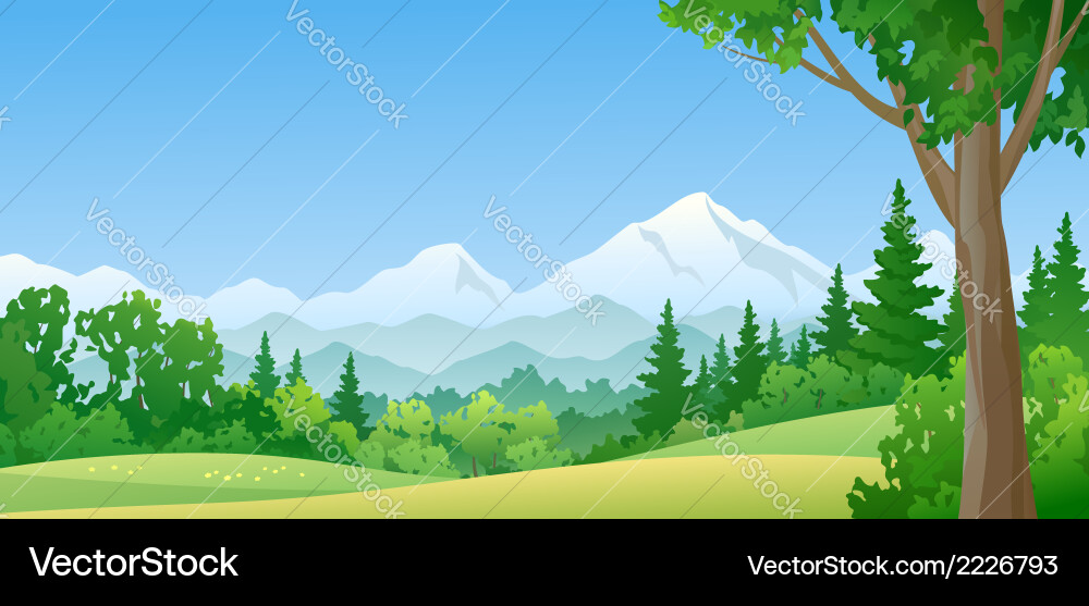 Mountain forest Royalty Free Vector Image - VectorStock