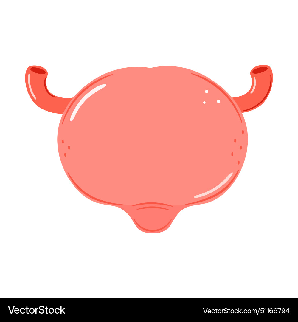 Bladder character hand drawn cartoon Royalty Free Vector