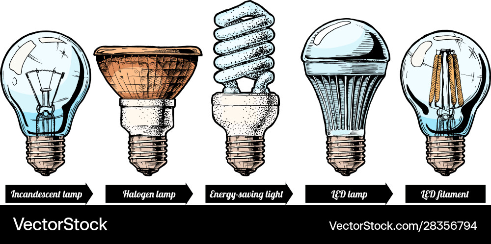 Evolution set light bulb Royalty Free Vector Image