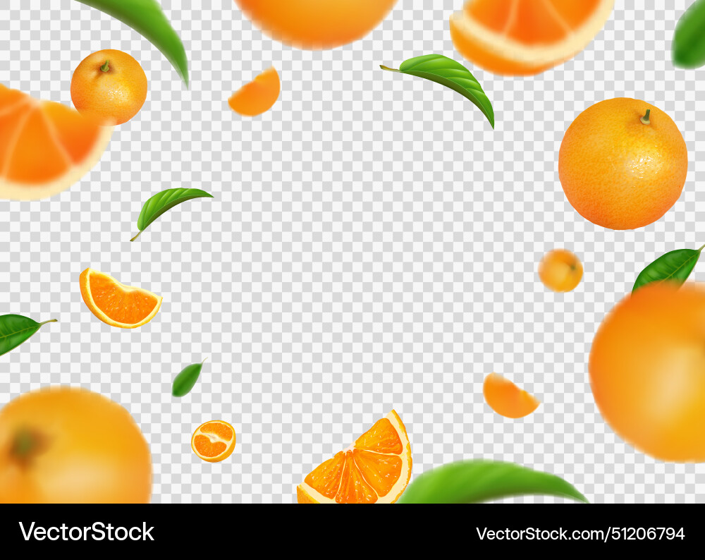 Flying oranges fruit juice fall 3d citrus slices Vector Image
