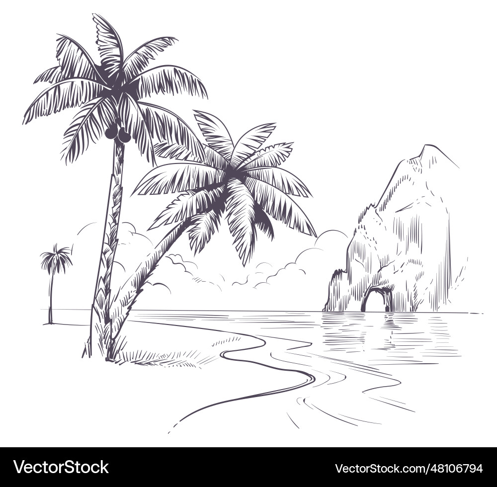 Palm tree landscape sketch tropical palms ocean Vector Image