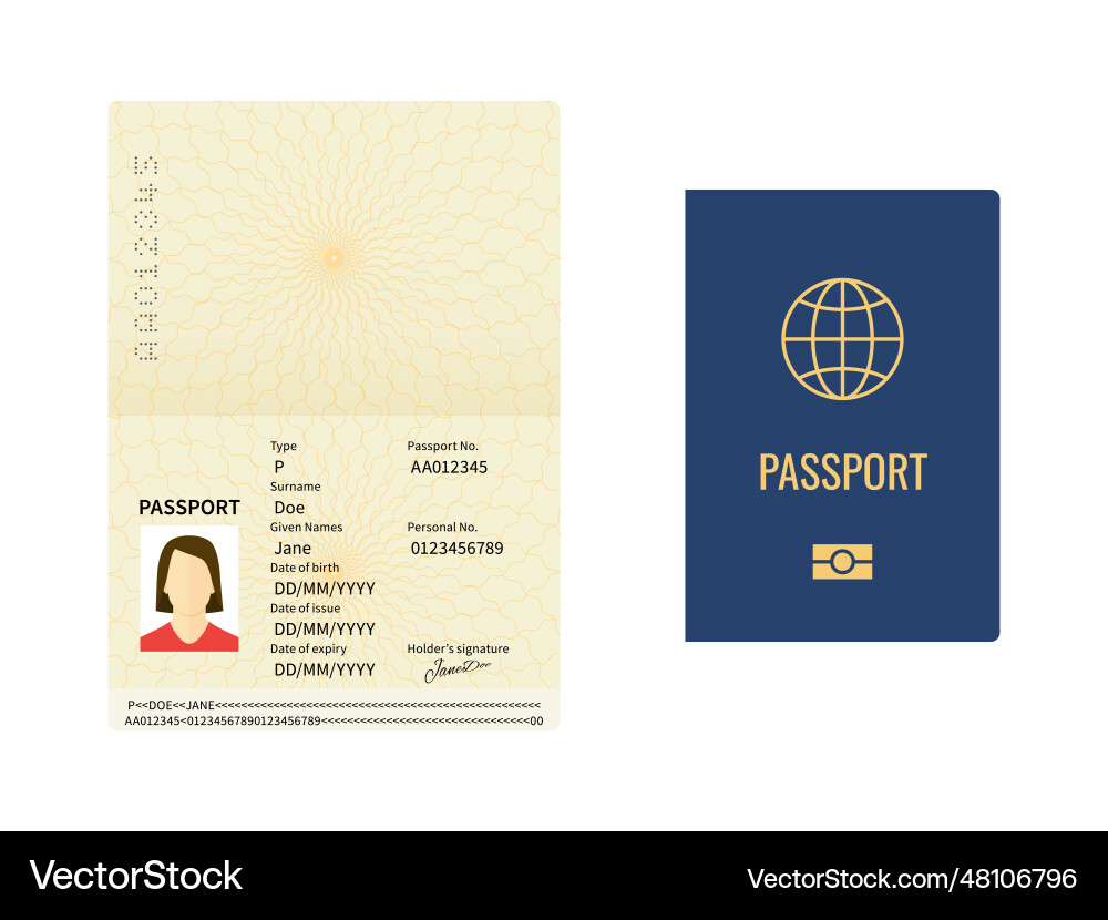 International passport template closed and open Vector Image