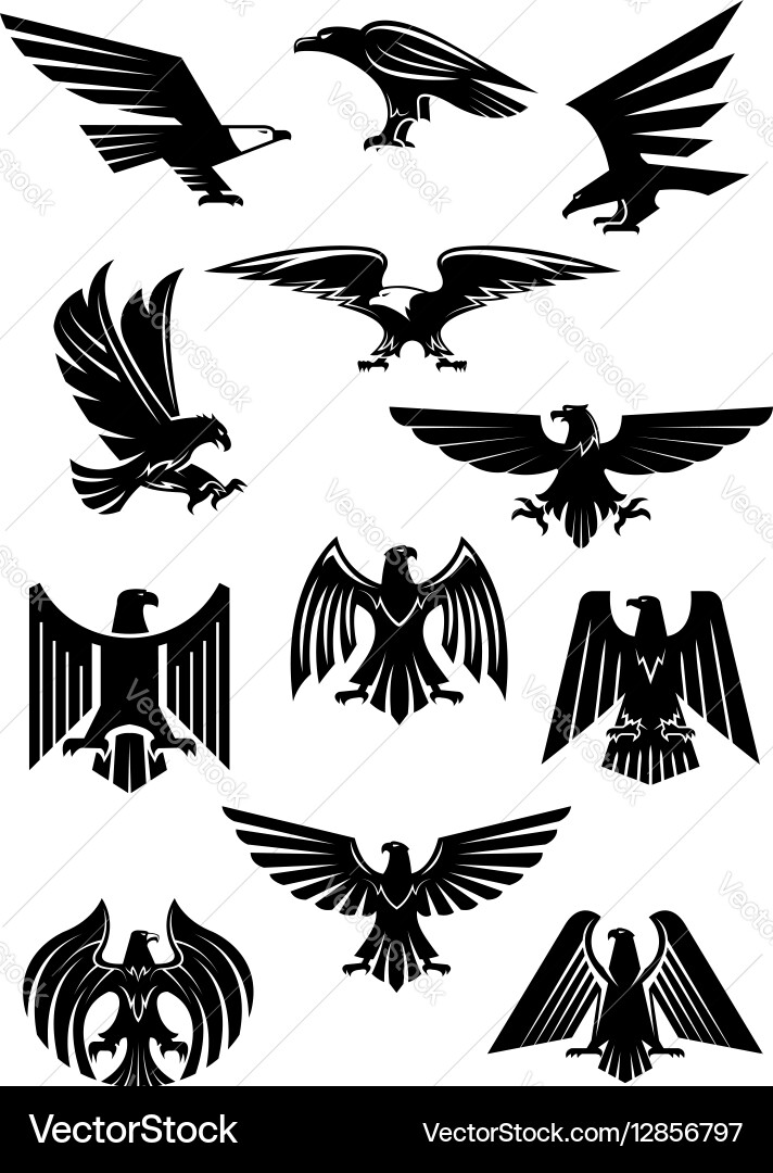 Aquila Vector Images (over 130)