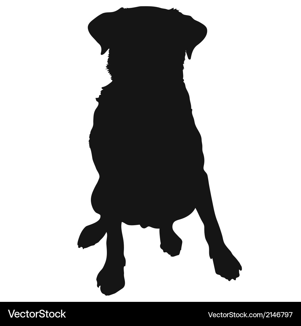 Labrador retriever silhouette Royalty Free Vector Image