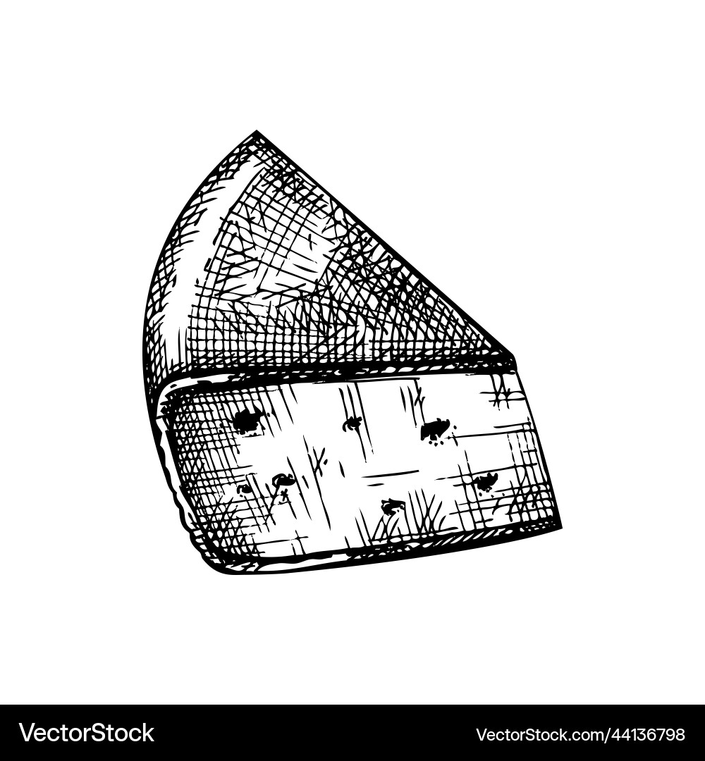 Cheese hand drawn food design element chee Vector Image