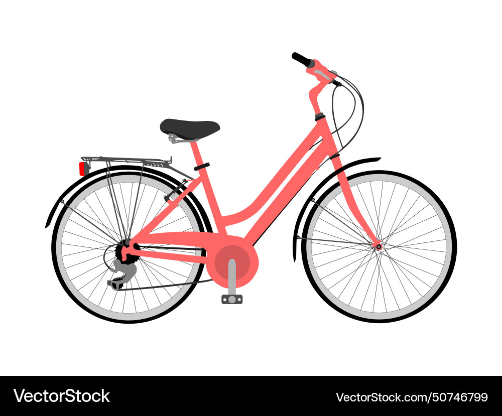 Female pink bicycle isolated Royalty Free Vector Image