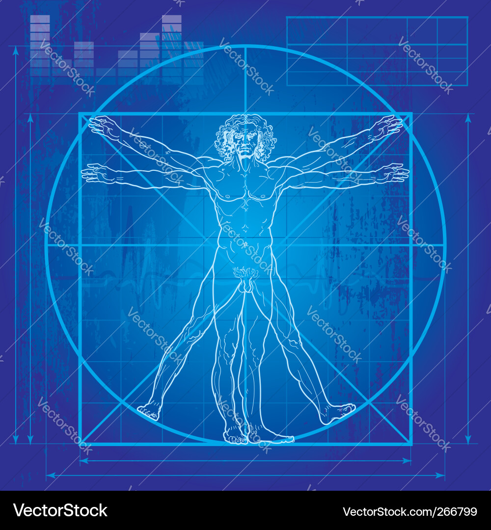 Vitruvian man blueprint version Royalty Free Vector Image