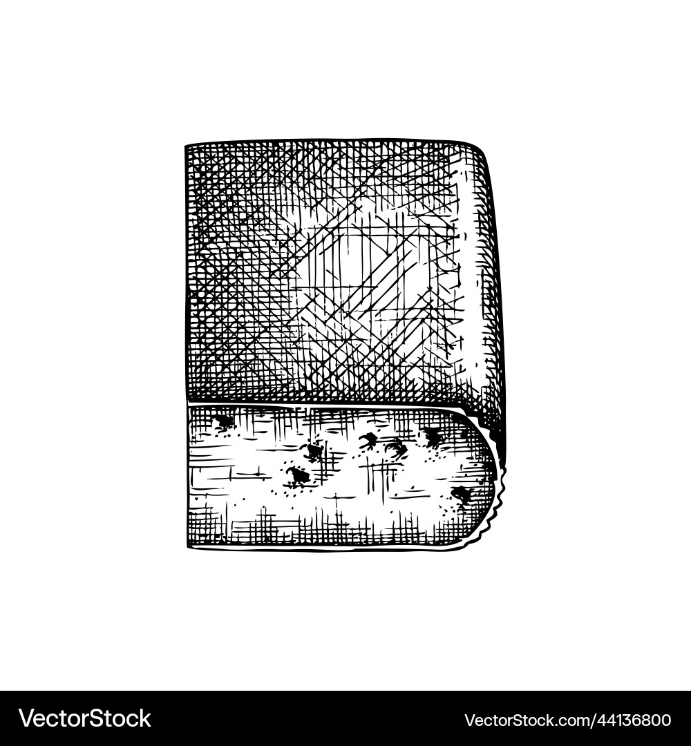 Cheese hand drawn food design element chee Vector Image