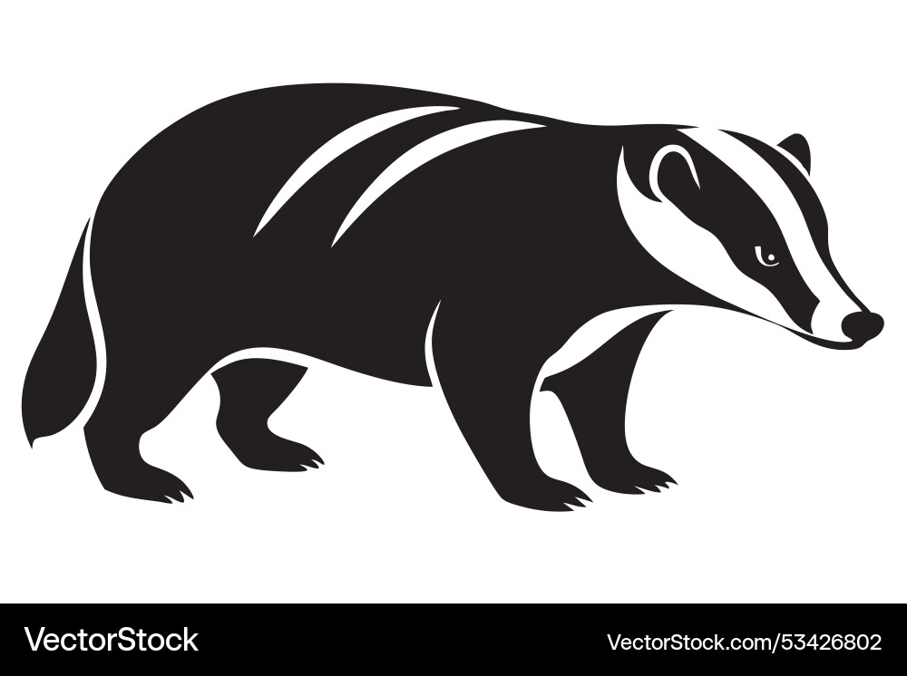 Badger silhouette Royalty Free Vector Image - VectorStock
