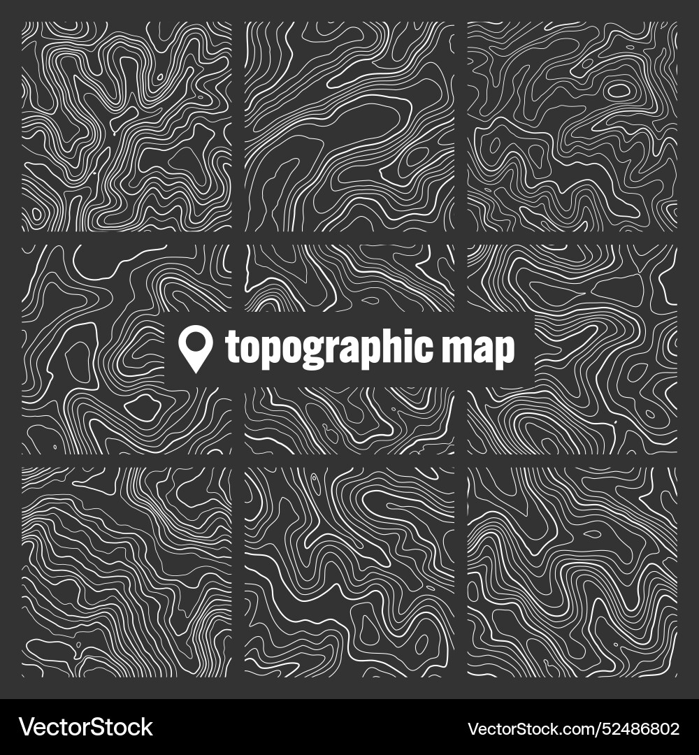 Topographic map with contour lines geographic Vector Image