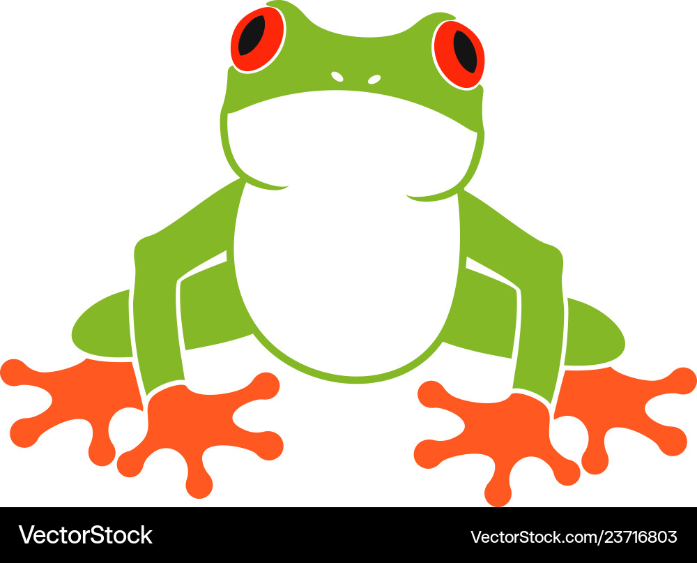 Colorful Tree Frog Royalty Free Vector Image - VectorStock