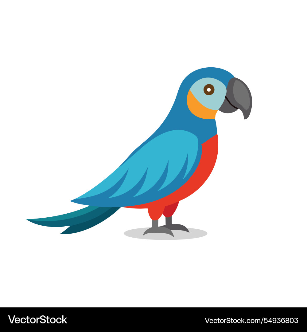 Macaw animal isolated flat on white background Vector Image