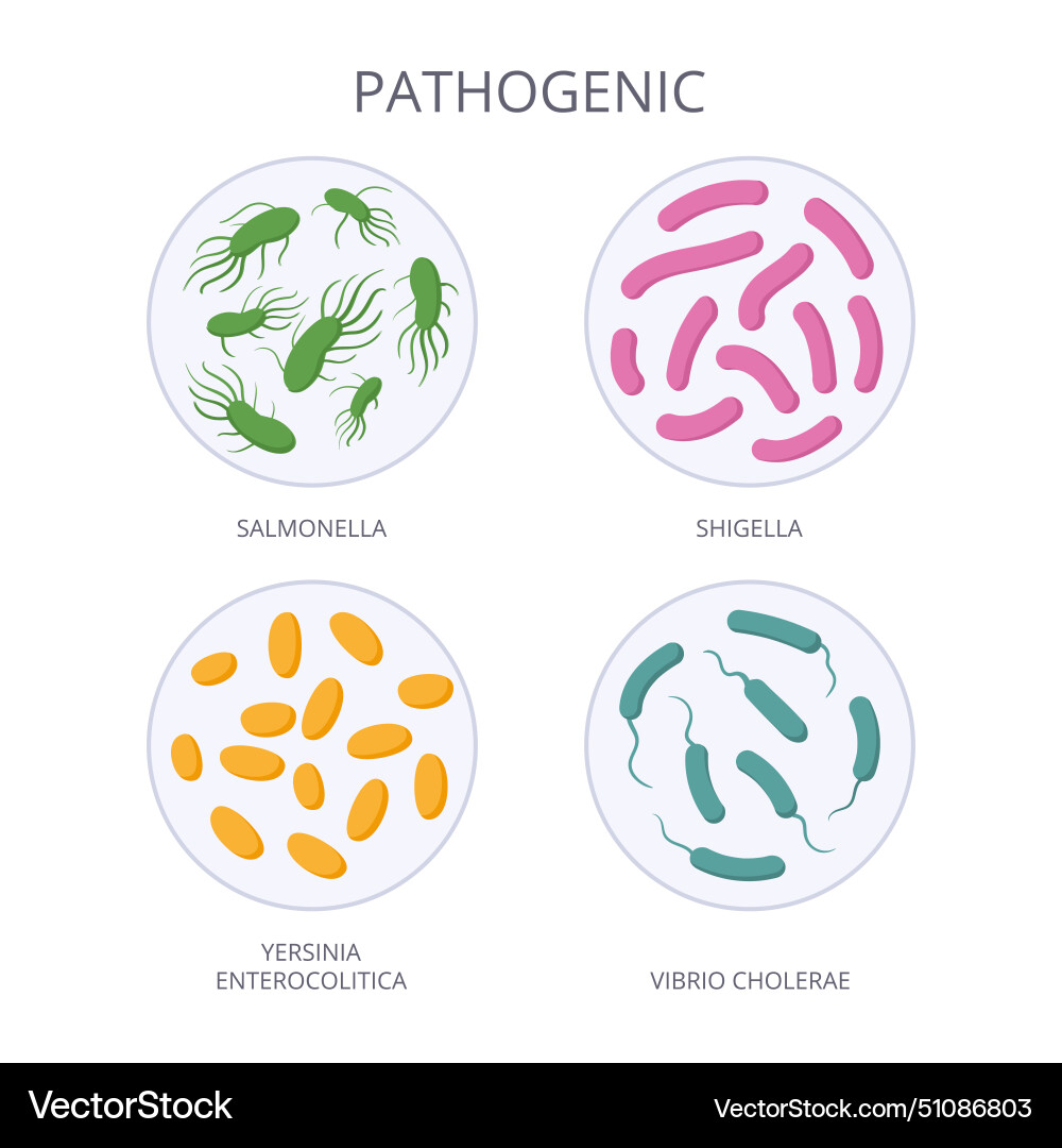 Pathogenic bacteria cartoon biological Royalty Free Vector