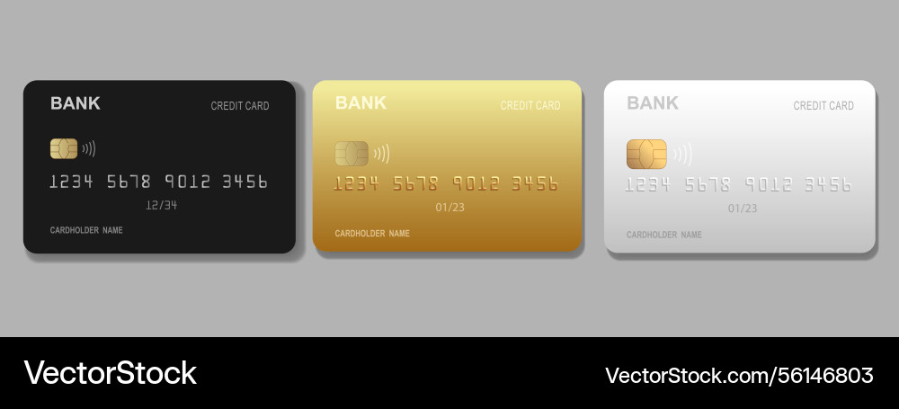 Realistic detailed 3d style different credit Vector Image