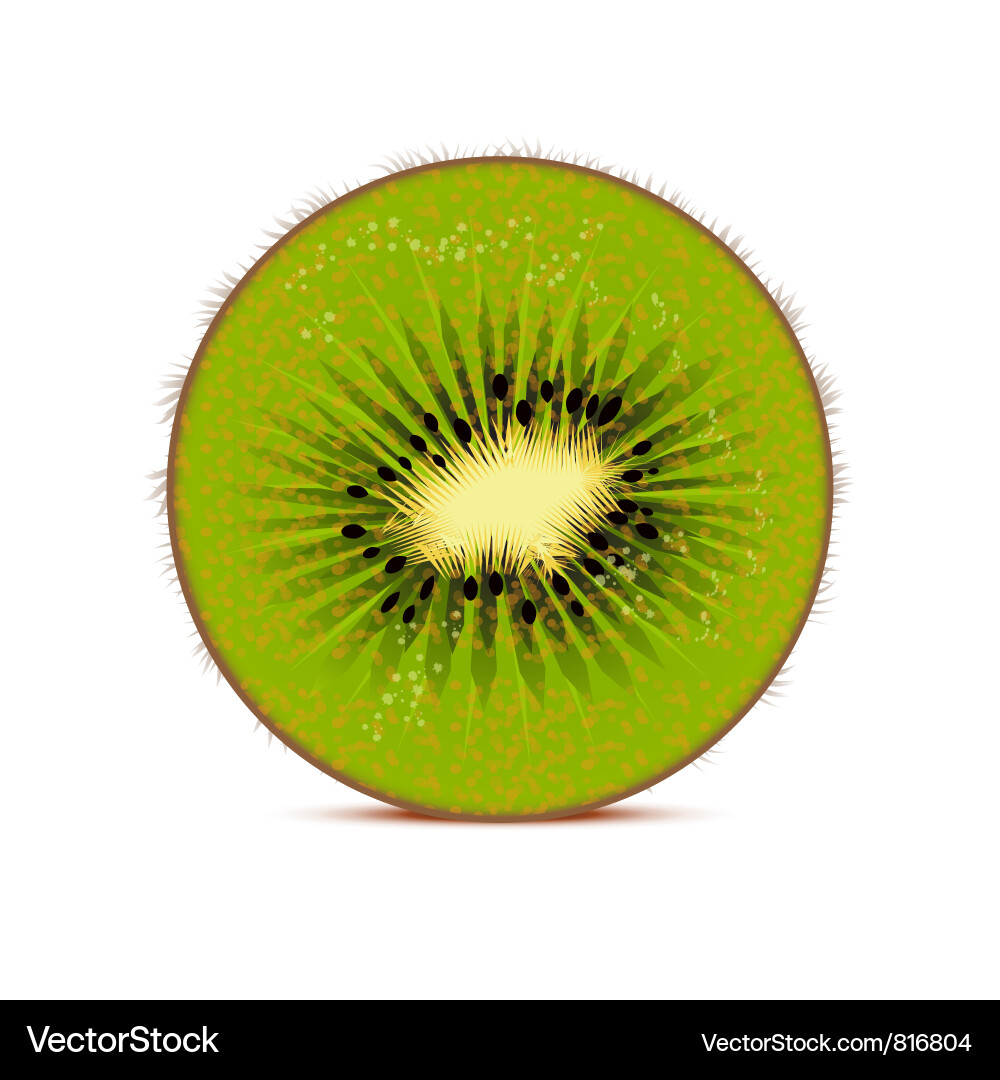 Kiwi Royalty Free Vector Image - VectorStock